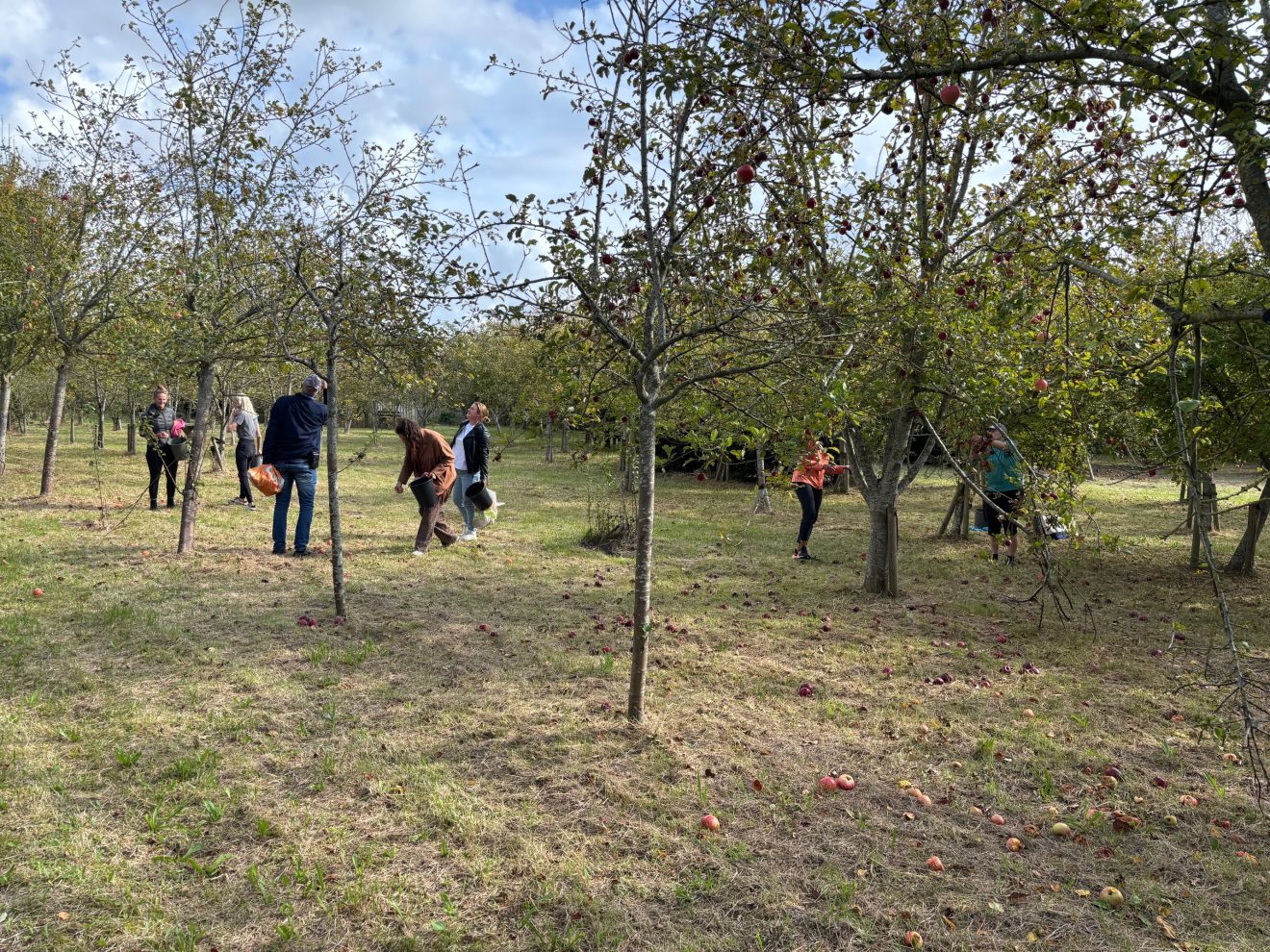 Doek valt voor Java Gebouw - Hillegom Online