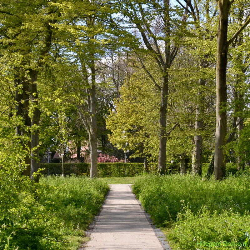 HillegomRondom - Van Nispenpark - Hillegom Online