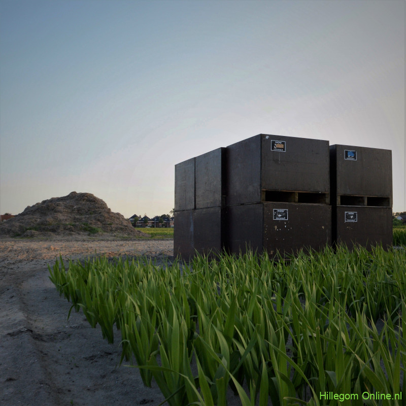 HillegomRondom - Zanderij - Hillegom Online